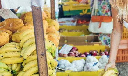 Parap Markets Story Tour | Off The Leash