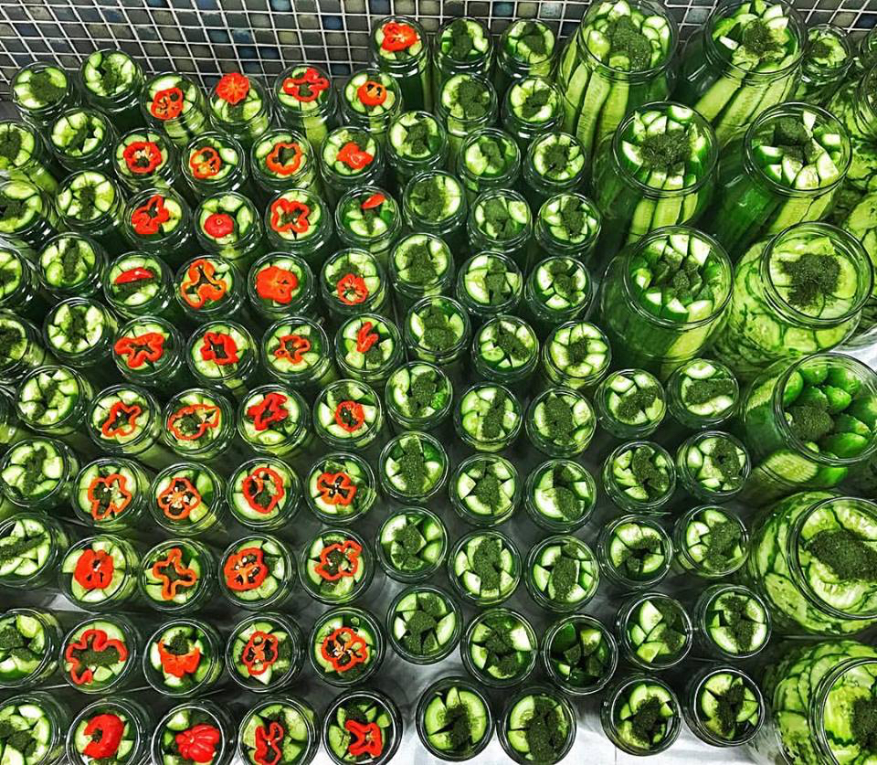 Become a pickle master | Off The Leash