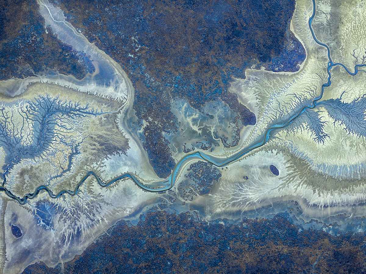 A new direction for Paul Arnold | Off The Leash