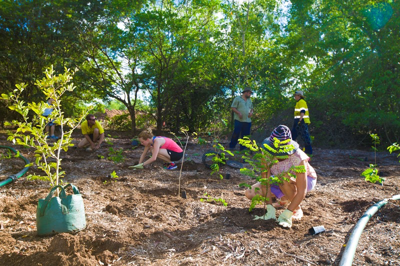 Community Tree Planting | Off The Leash