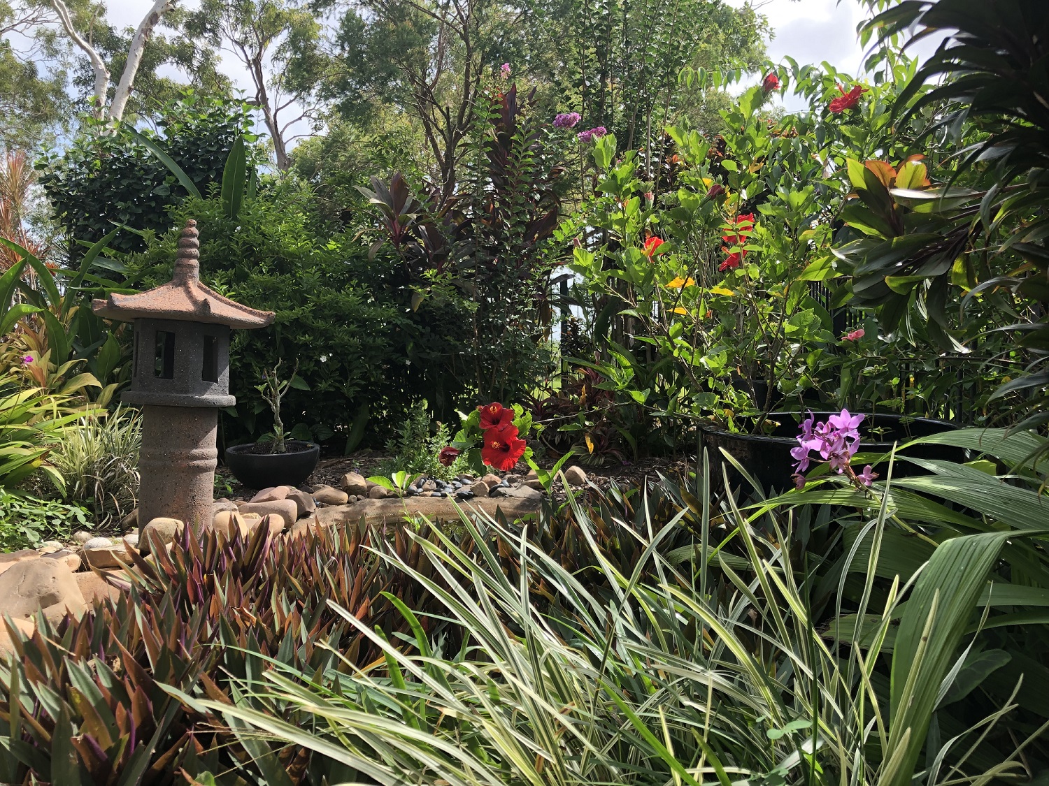 Open Gardens NT | Off The Leash