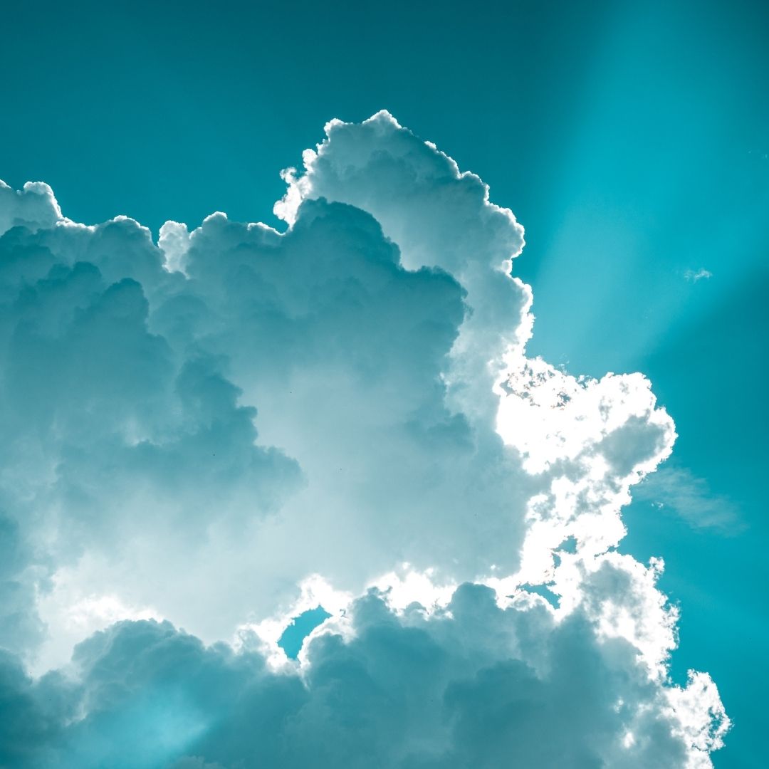 Silver Linings: Beyond The Silos | Off The Leash