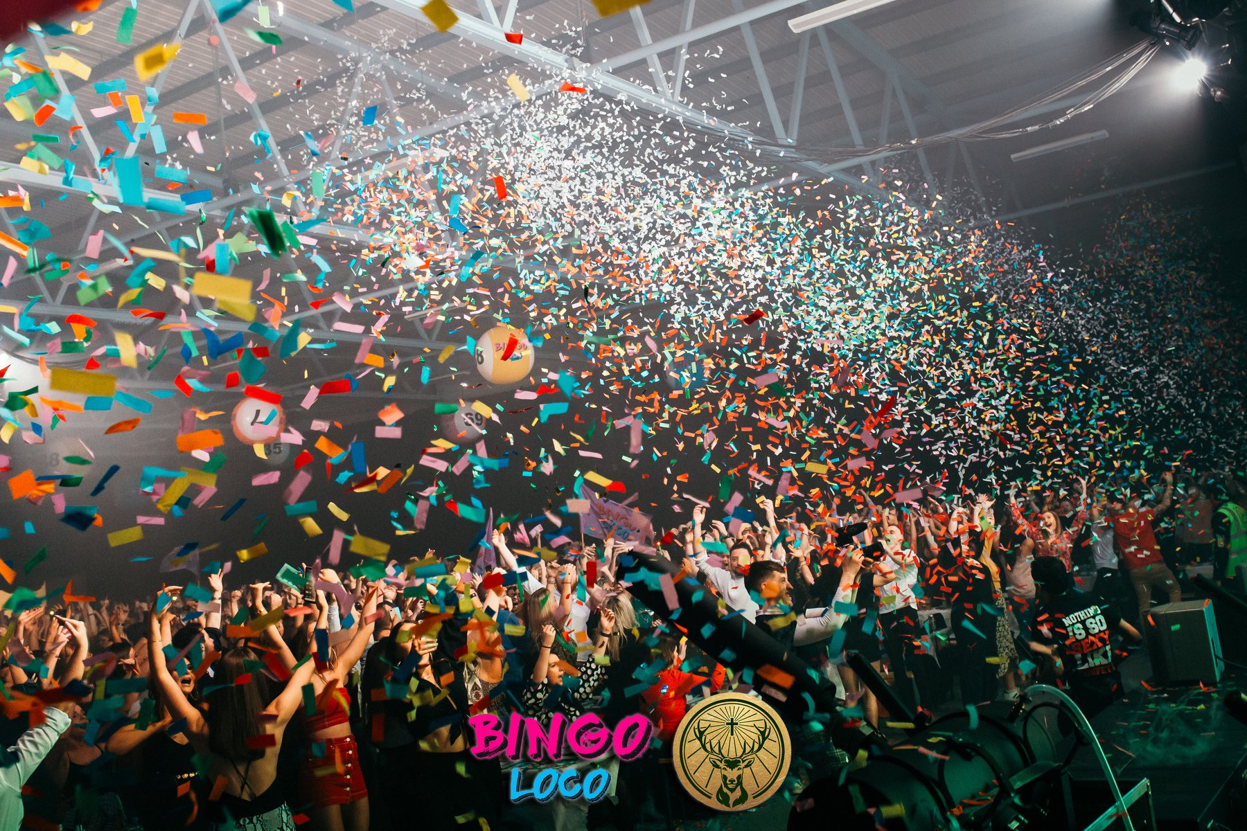 Go Loco For Bingo Loco Off The Leash