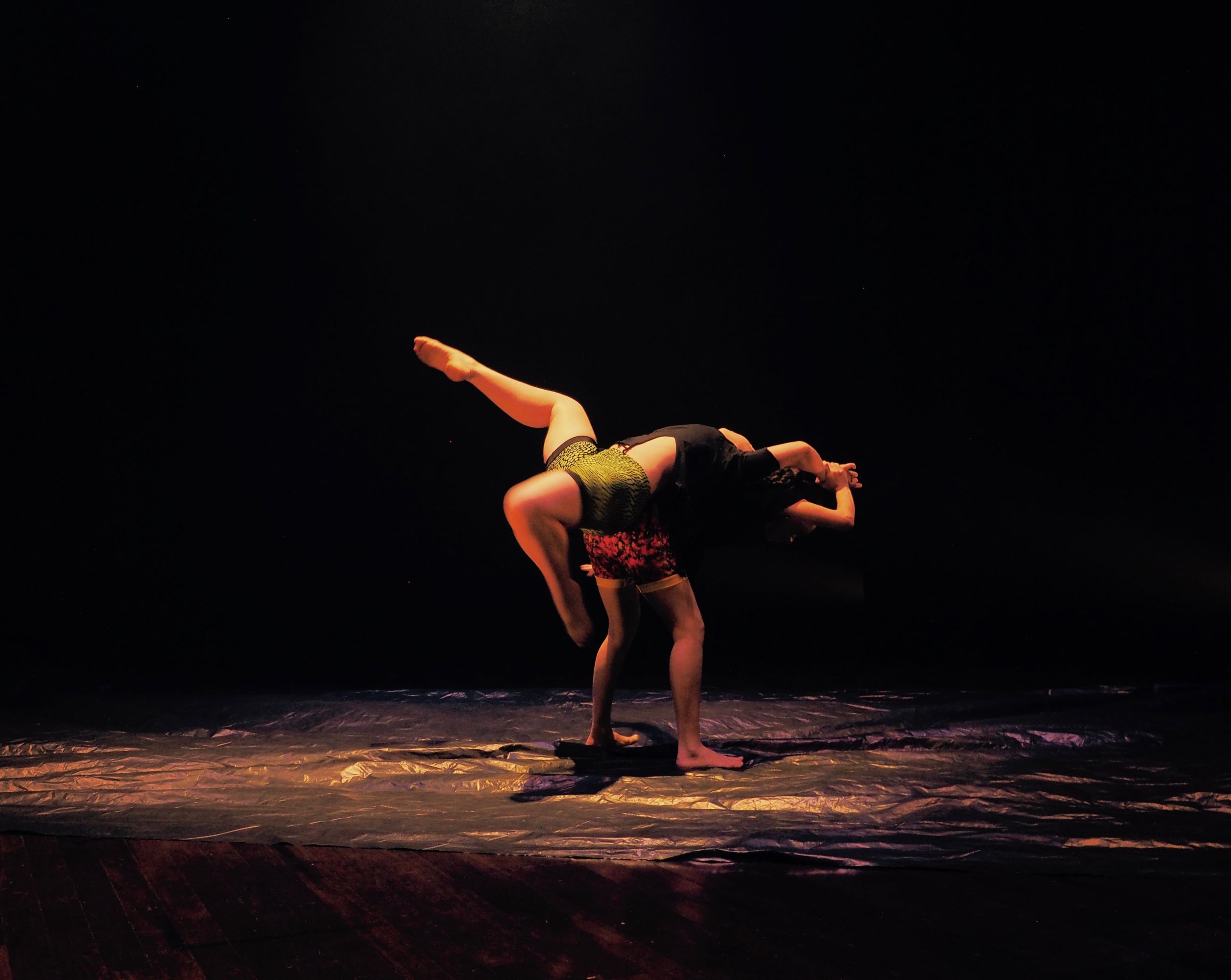 Fresh Tracks | Off The Leash